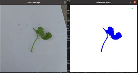 Custom Tao Unet Model Classifying Only Two Classes On Deepstream Tao Toolkit Nvidia