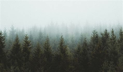 Using Environment Variables In Nx 19 With Angular By Ekrem Koçak Medium