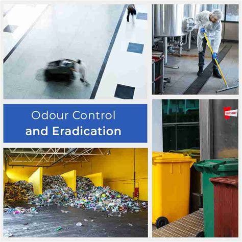 N Zyme Park Environmental