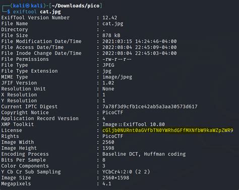 Picoctf Information Persecure My Learning Archive