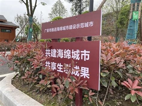 广安新闻网 海绵城市来了！做好生态修复 打造绿色长廊