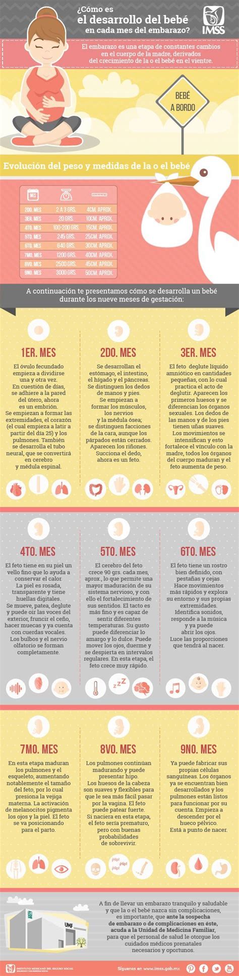 An Info Sheet With Different Types Of Food