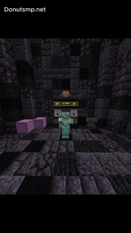The Best Stash On The Donut Smp Tiktok