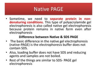 Gel Electrophoresis Native Denaturingandreducing Pptx