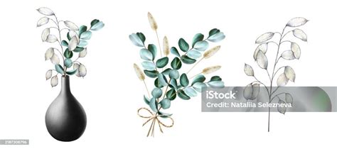 유칼립투스와 루나리아가 있는 블랙 앤티크 세라믹 꽃병이 세팅되어 있습니다 나뭇가지 건조 식물 꼬기 활과 꽃다발 수채화 손으로 그린 진흙 냄비는 배경에 고립되어 있습니다