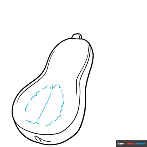 How To Draw Squash Really Easy Drawing Tutorial