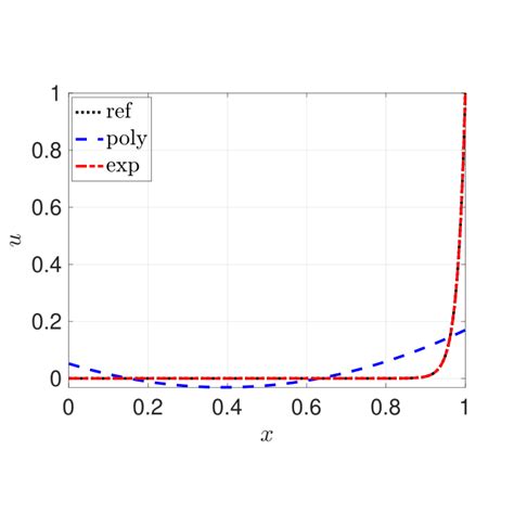 Polynomial Vs Exponential Function Space For A Boundary Layer Solution