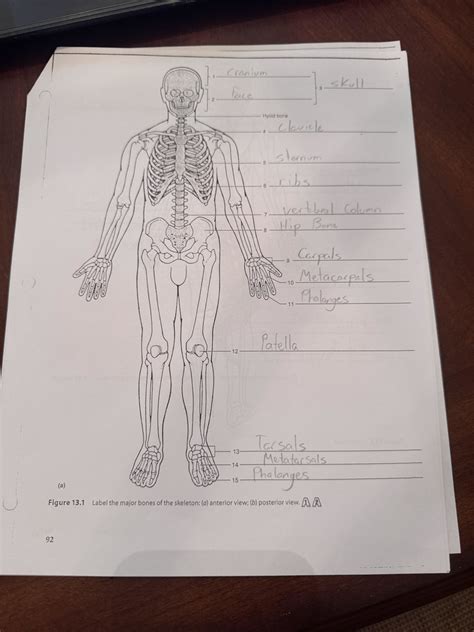 Biology Ii Diagram 3 Diagram Quizlet