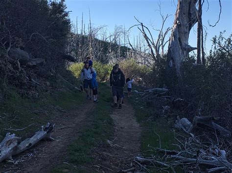 Paso Picacho Campground — Cuyamaca Rancho State Park Julian Ca