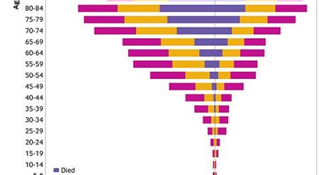 Imgur The Magic Of The Internet