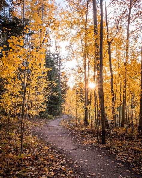 Jesse Roesch Jesseroesch • Instagram Photos And Videos