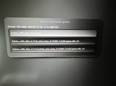 Qubes Boot Options After Sys Usb Post Installation Qube Creation Software Purism Community