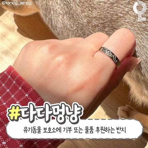 20대 뭐 하지 애인 또는 친구랑 커플링 우정링하기 좋은 💍의미있는 예쁜 기부반지추천💍