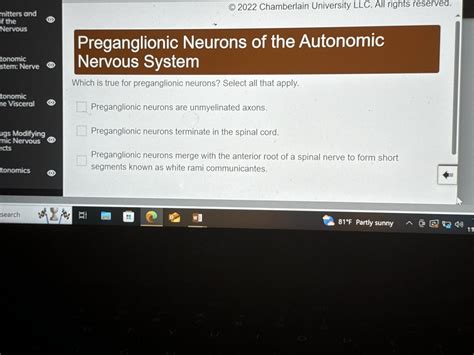 Preganglionic Neurons Of The Autonomic Nervous System Which Is True For Preganglionic Neurons