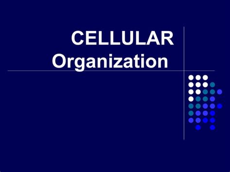 6 Cellular Organization Ppt