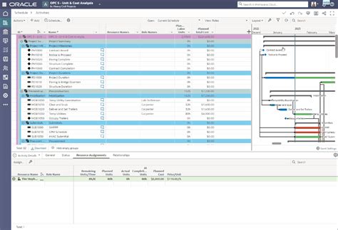 How To Adjust User Preferences In Oracle Primavera Cloud Taradigm
