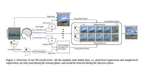Guess What I Saw Today This Ai Model Decodes Your Brain Signals To