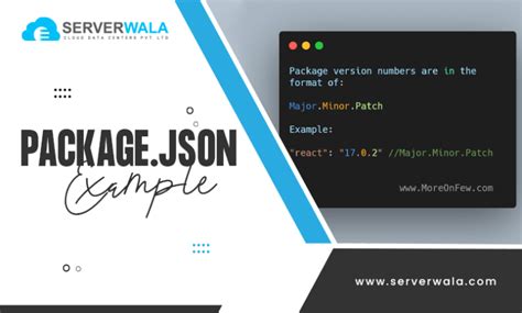 Package Json Quick Start Guide Serverwala