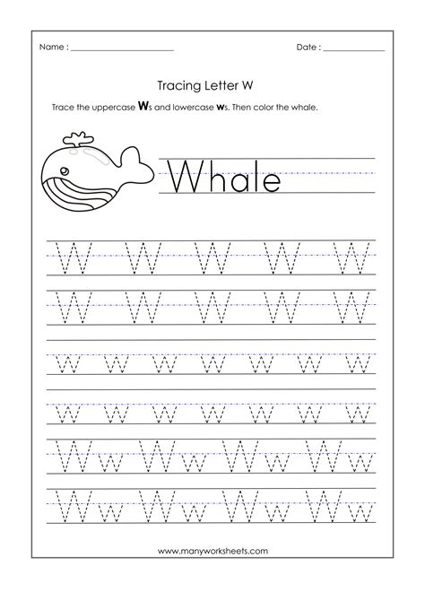 Letter W Tracing Worksheet