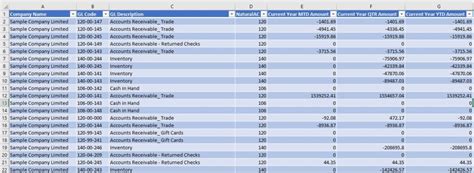 Gl Accounts Statement Report Sage 300 Erp Tips Tricks And Components