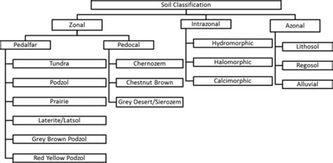 Soil Classification Distribution Of Soil In World UPSC UPSC Notes LotusArise