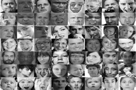 Training Samples Of The Dataset Download Scientific Diagram