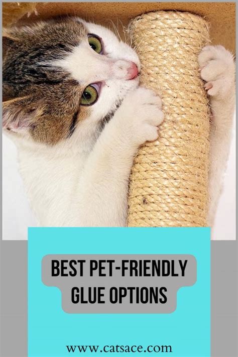 An Ultimate Guide To The Best Pet Safe Glue Options Artofit