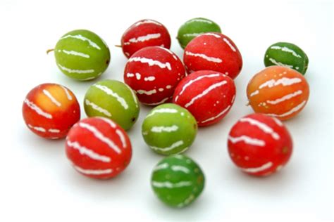 夏を涼しく過ごそうグリーンカーテンにおすすめな植物8種をご紹介