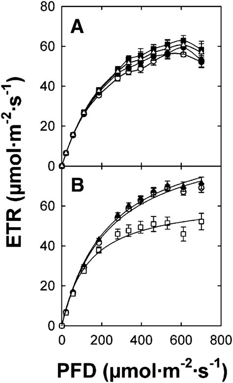 Light Saturation Curves Of Photosynthetic Etrs Determined By Imaging