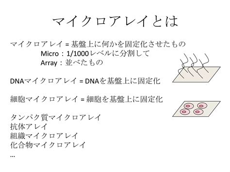 Dnaマイクロアレイの解析と多重検定補正 Pdf