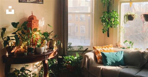 갈색 나무 테이블에 녹색 화분에 심은 식물 사진 Unsplash의 무료 시카고 이미지