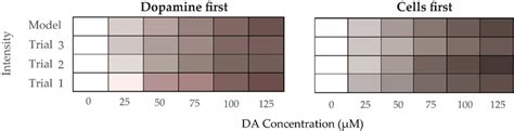 Visual Comparison Of Rgb Color Intensities Acquired Experimentally And