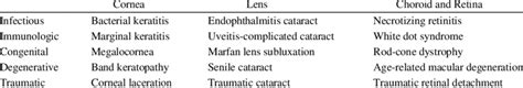 Simple Classification Of Eye Diseases And Examples Download Table