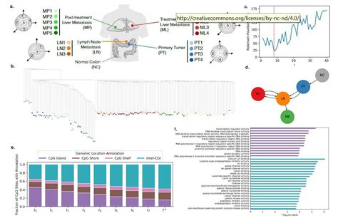 Spatialomics Spatialbiology Singlecellanalysis Singlecell