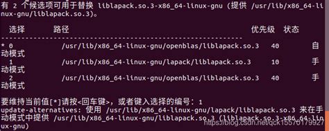 Importerror Usrlibx8664 Linux Gnulibblasso3 Undefined Symbol Gotoblasimporterror