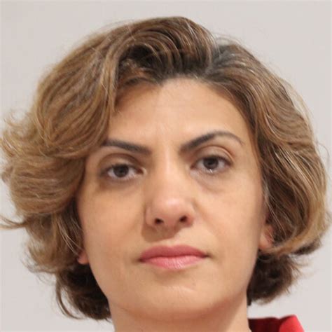 Hasti Samadi Lecturer Master Of Engineering University Of