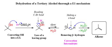 Dehydration Reaction