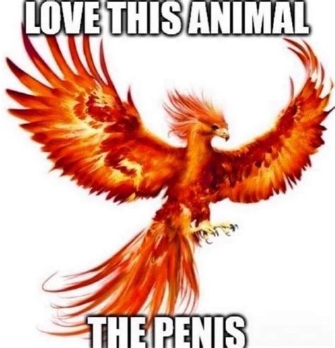 феникс Pun Intended приколы для образованных даунов со знанием английского смешные