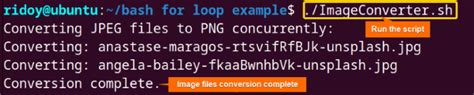 Common Bash For Loop Examples Basic To Intermediate Linuxsimply