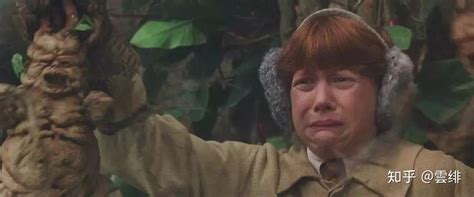 【hp原著解析】《哈利·波特》名词中隐藏的各种神话溯源：魔法植物和草药