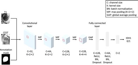 The Architecture Of The Implemented Cnn Model Using T1 Cest And