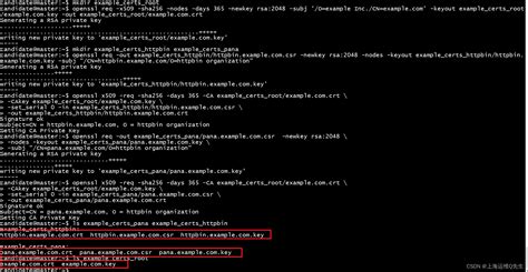 备考ica Istio实验10 为单个主机配置tls Istio Ingress Gateway实验