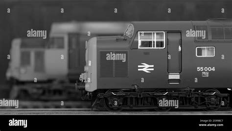 Class 55 Deltic Diesel Locomotive 55 004 Queens Own Highlander 00 Gauge Scale Model