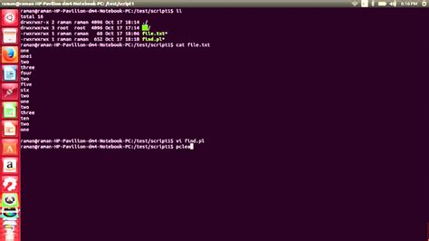 Perl Script To Find And Count Strings In A Text File Youtube