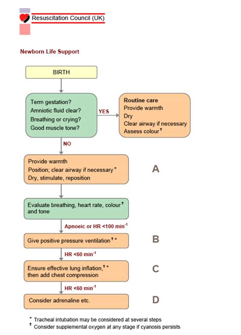 Newborn Care Diagram Emt