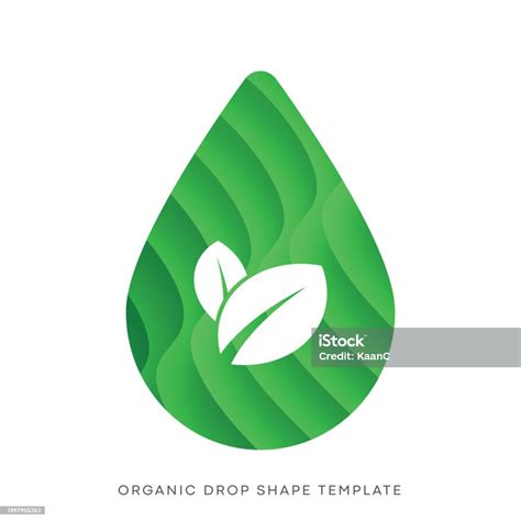 유기 방울 모양 템플릿 추상 녹색 색상 드롭 모양 벡터 스톡 일러스트레이션 더하기 기호에 대한 스톡 벡터 아트 및 기타 이미지 더하기 기호 아이콘 자선 모금 Istock
