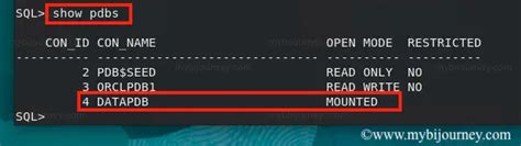 How To Create A New Pluggable Database Pdb