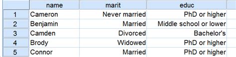 Spss Chi Square Test With Pairwise Z Tests Tutorial