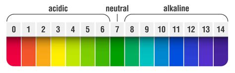 Pool PH Alkalinity Tips Troubleshooting