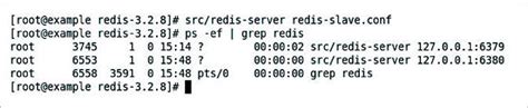 Discover The Power Of Redis A Fast NoSQL Database For Caching Messaging